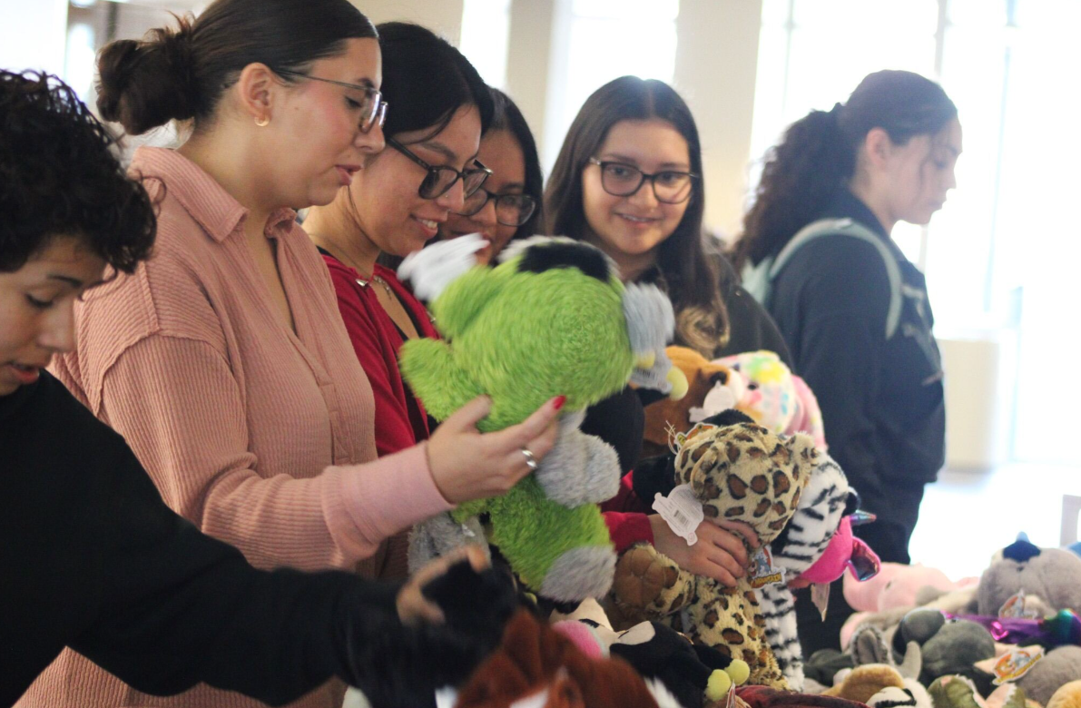 Bringing people together with boba and bears | The Collegio