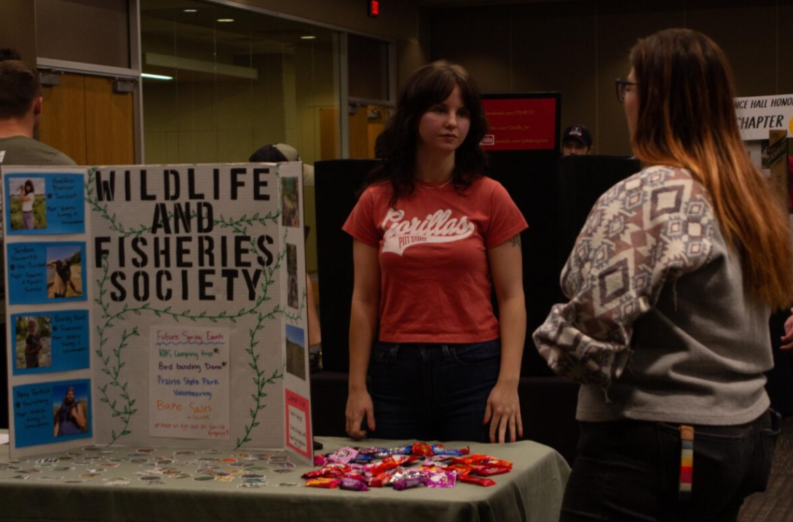 The organization fair with fair organization | The Collegio